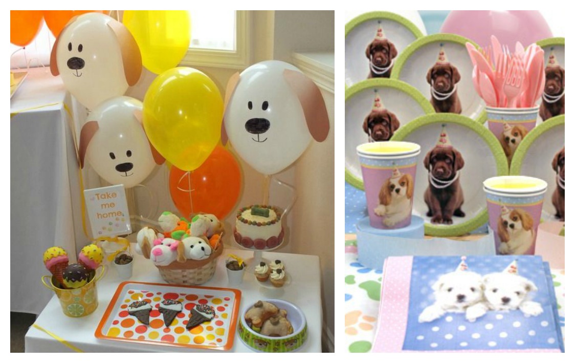 How to Throw a fabulous Pet Birthday Party on a Budget