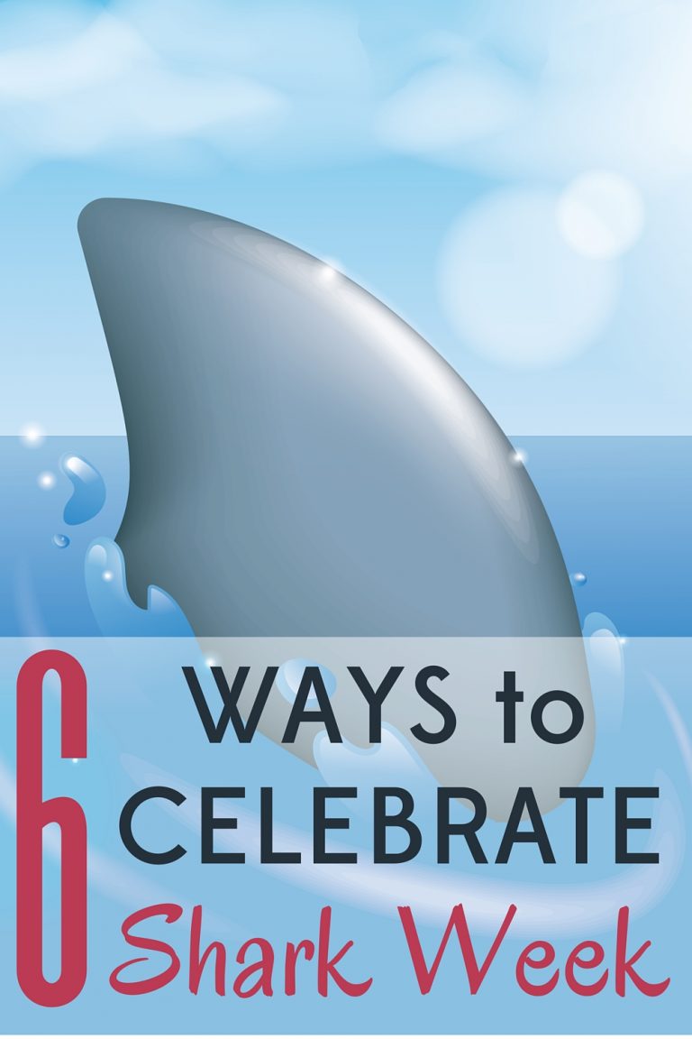 7 Ways to Celebrate Shark Week