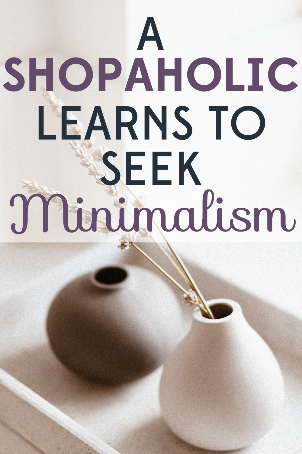 A Shopaholic Learns to Seek Minimalism