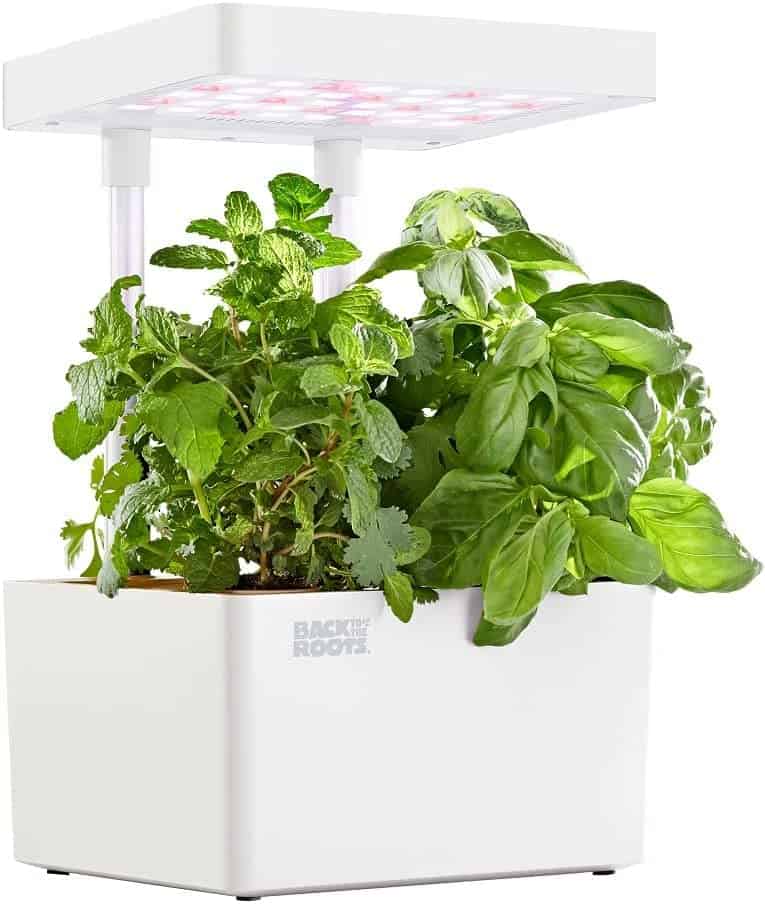 Back to the Roots Hydroponic Grow Kit, Indoor Garden Only $31.50