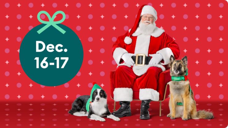 Wednesday Freebies - Free Pet Photo With Santa At PetSmart On December ...