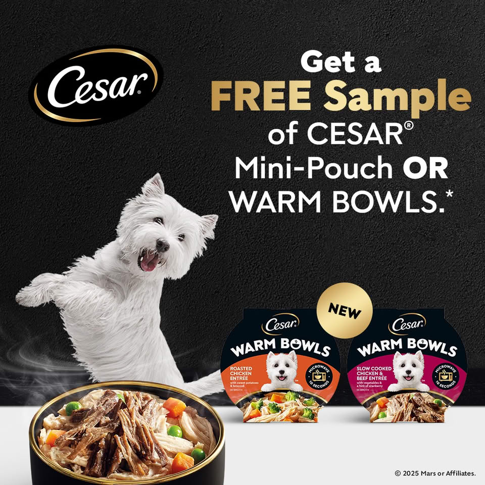 Tuesday Freebies - Free Sample of Cesar Mini-Pouches or Warm Bowls Dog Food