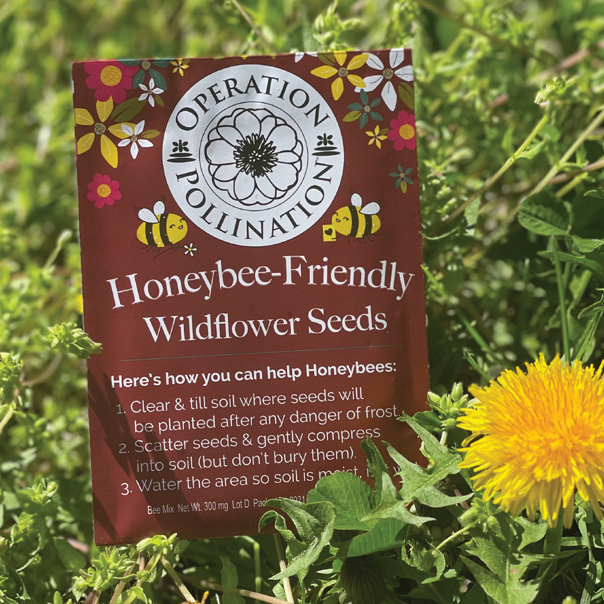 Monday Freebies - Free Wildflower Seeds from Operation Pollination